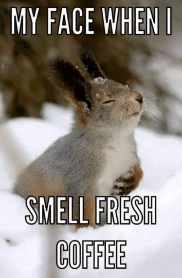 30 Coffee Memes So Strong You Should Read Them On The Toilet