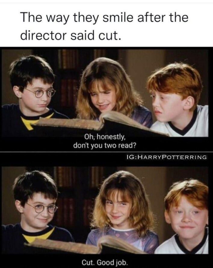 30 Of The Most Magical Harry Potter Memes We Had Time To Accio This ...