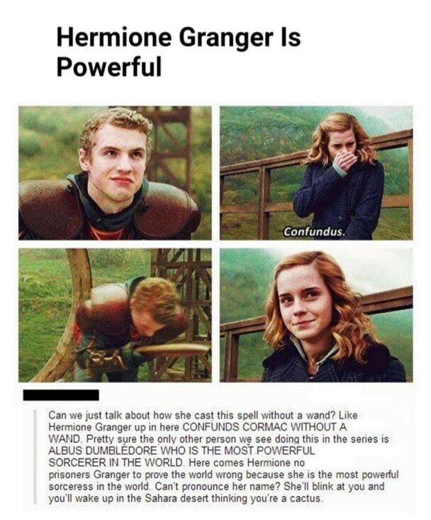 30 Of The Most Magical Harry Potter Memes We Had Time To Accio This ...