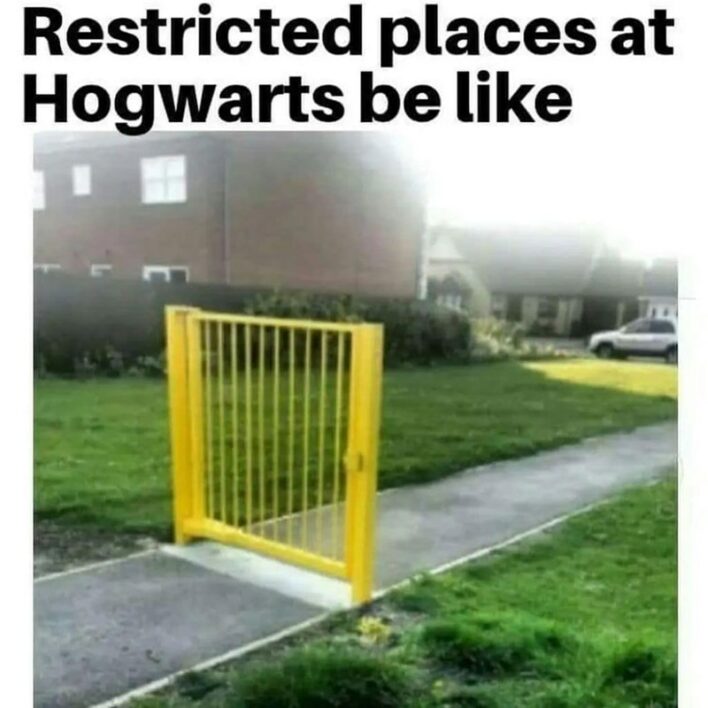 30 Of The Most Magical Harry Potter Memes We Had Time To Accio This ...