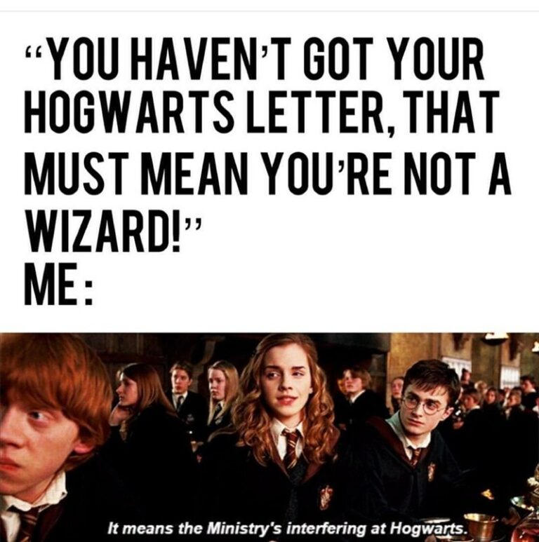 30 Of The Most Magical Harry Potter Memes We Had Time To Accio This ...