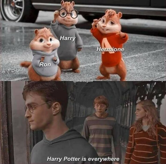 30 Of The Most Magical Harry Potter Memes We Had Time To Accio This ...