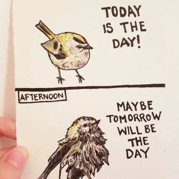20 Funny Bird Memes That May Or May Not Ruffle Some Feathers