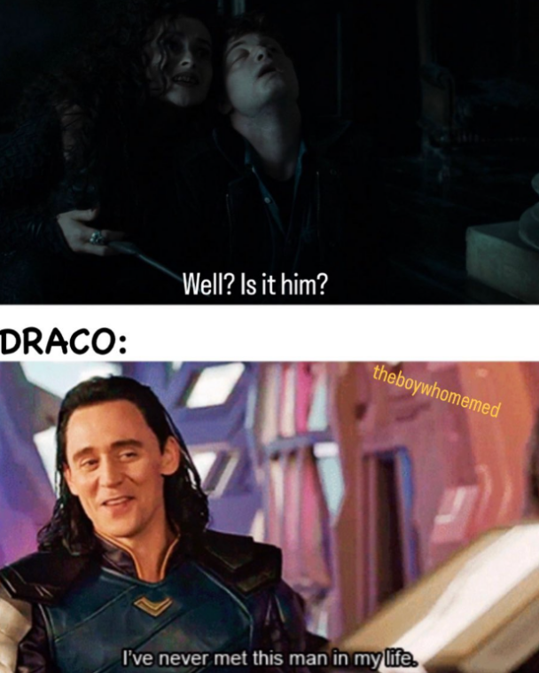 40 Harry Potter Memes That'll Accio You Some Hearty Laughs