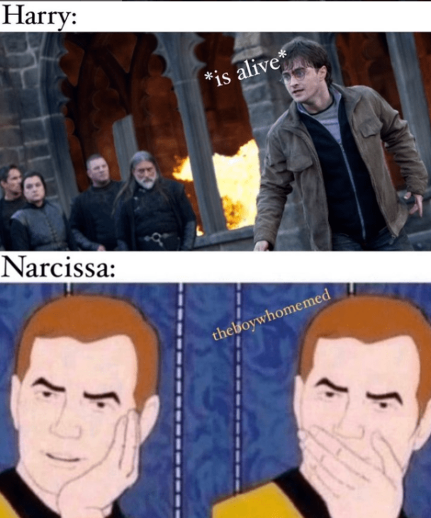 40 Harry Potter Memes That'll Accio You Some Hearty Laughs