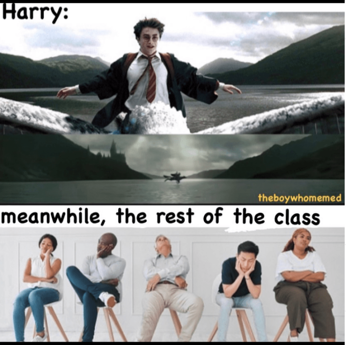40 Harry Potter Memes That'll Accio You Some Hearty Laughs