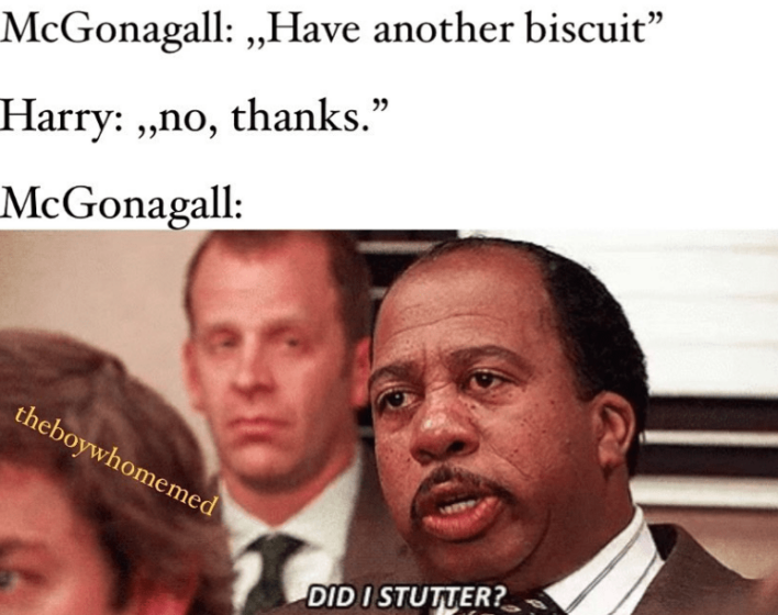 40 Harry Potter Memes That'll Accio You Some Hearty Laughs