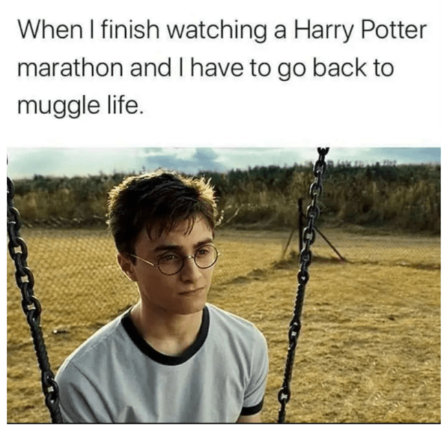 40 Harry Potter Memes That'll Accio You Some Hearty Laughs