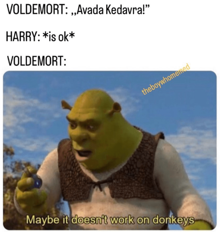 40 Harry Potter Memes That'll Accio You Some Hearty Laughs