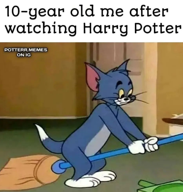 40 Harry Potter Memes That'll Accio You Some Hearty Laughs