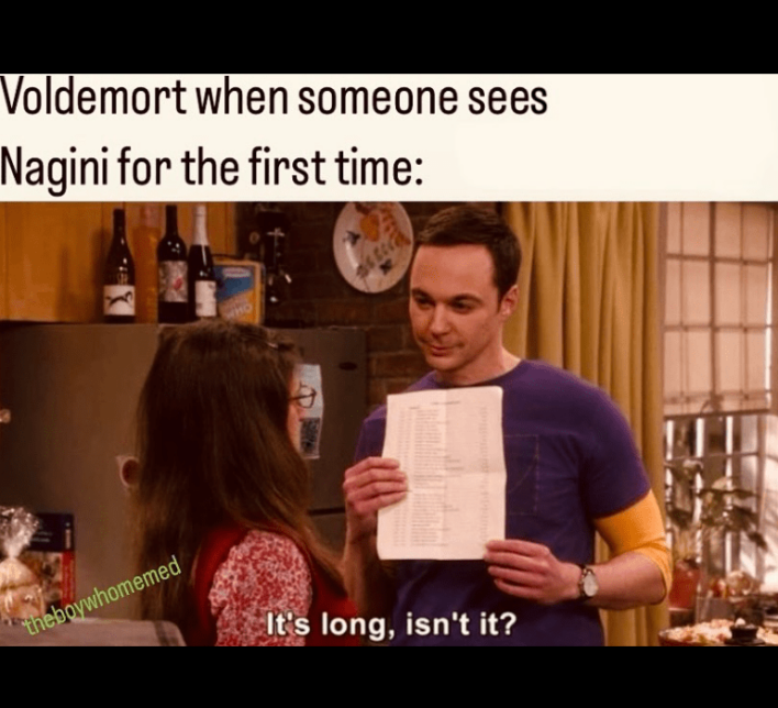 40 Harry Potter Memes That'll Accio You Some Hearty Laughs