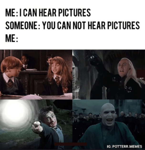 40 Harry Potter Memes That'll Accio You Some Hearty Laughs