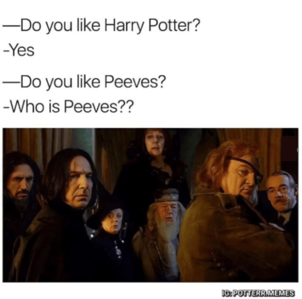 40 Harry Potter Memes That'll Accio You Some Hearty Laughs