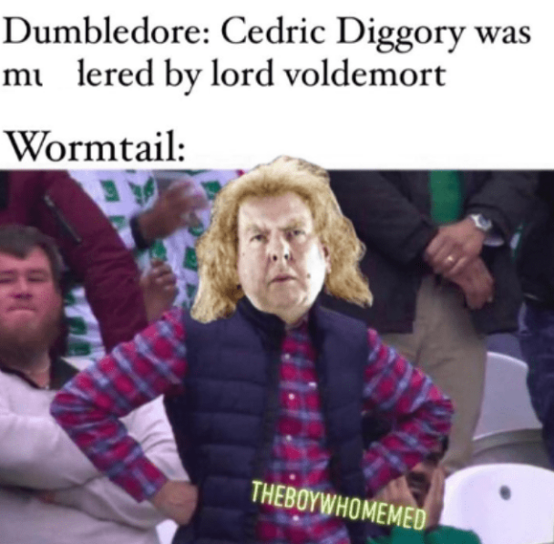 40 Harry Potter Memes That'll Accio You Some Hearty Laughs