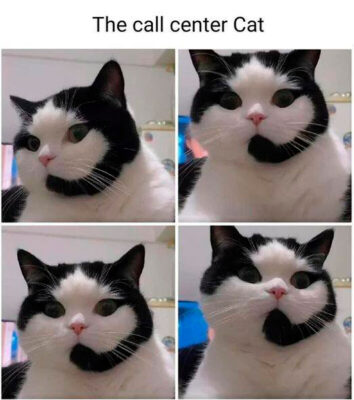 30 Funny IT Memes That'll Make You Laugh, If Not Just Turn Them Off ...