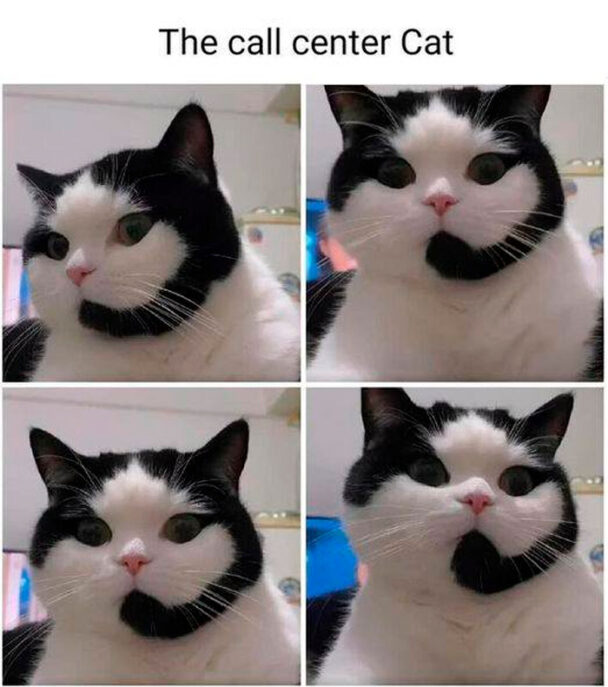 30 Funny IT Memes That'll Make You Laugh, If Not Just Turn Them Off ...