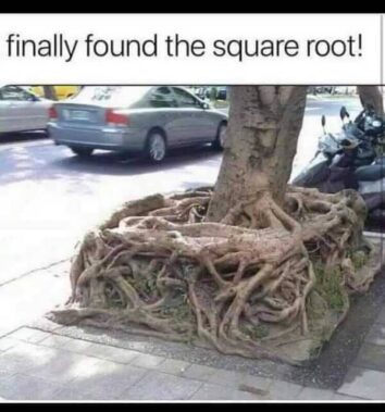 35 Hilarious Math Memes That Will Multiply Your Laughter