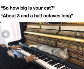 30 Hilarious Music Memes For Musicians Who Laugh To The Beat Of Their ...