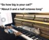 30 Hilarious Music Memes For Musicians Who Laugh To The Beat Of Their ...
