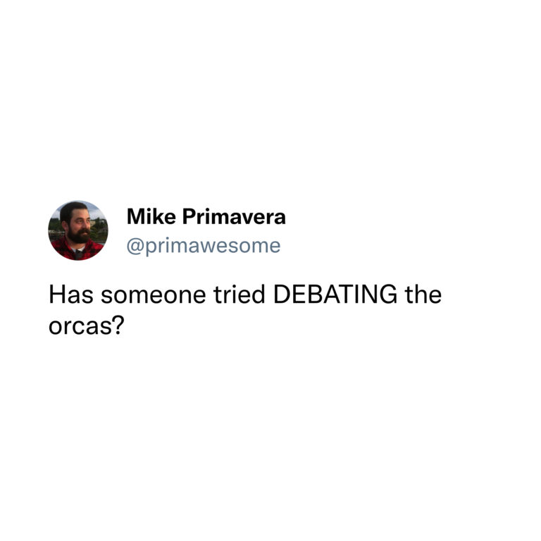 40 Funny Orca Attack Memes And Tweets We Should All Laugh At So They ...