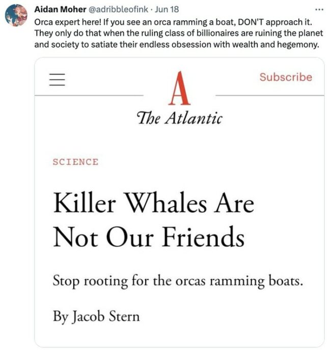 40 Funny Orca Attack Memes And Tweets We Should All Laugh At So They ...