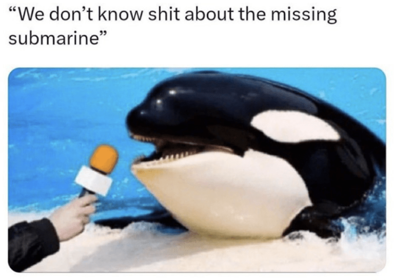 40 Funny Orca Attack Memes And Tweets We Should All Laugh At So They ...