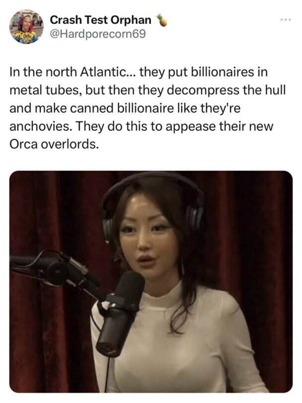 40 Funny Orca Attack Memes And Tweets We Should All Laugh At So They ...