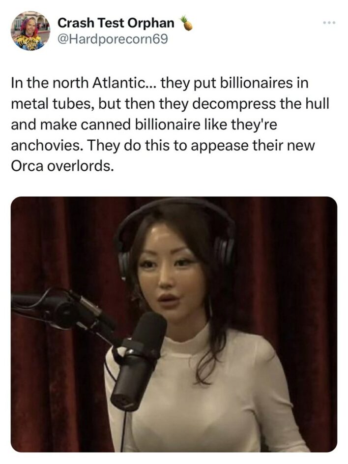 40 Funny Orca Attack Memes And Tweets We Should All Laugh At So They ...