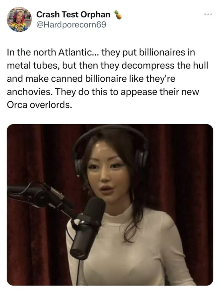 40 Funny Orca Attack Memes And Tweets We Should All Laugh At So They ...