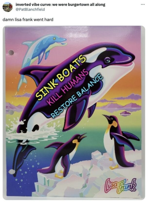 40 Funny Orca Attack Memes And Tweets We Should All Laugh At So They ...