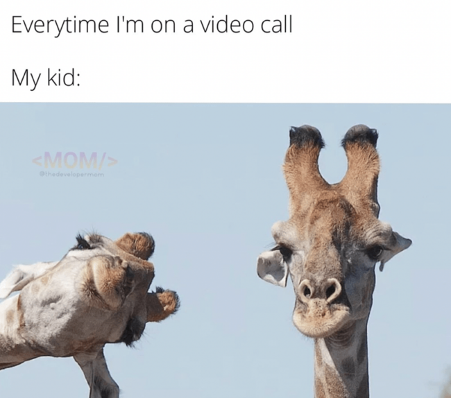 40 Funny Parenting Memes For Millennials Who Still Haven't Gotten Used ...