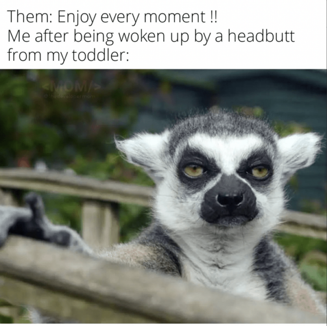 40 Funny Parenting Memes For Millennials Who Still Haven't Gotten Used ...