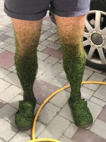 45 Funny Gardening Memes That Require Zero Watering For All You Green ...