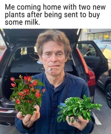 45 Funny Gardening Memes That Require Zero Watering For All You Green ...