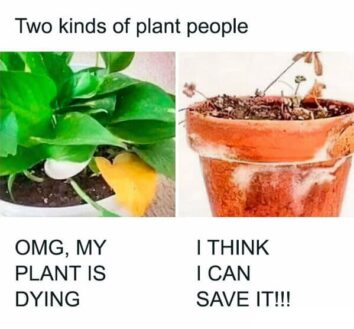 45 Funny Gardening Memes That Require Zero Watering For All You Green ...