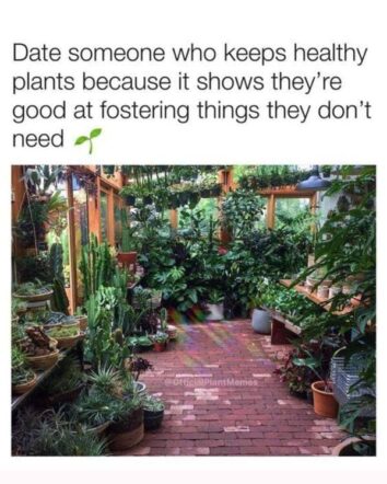 45 Funny Gardening Memes That Require Zero Watering For All You Green ...