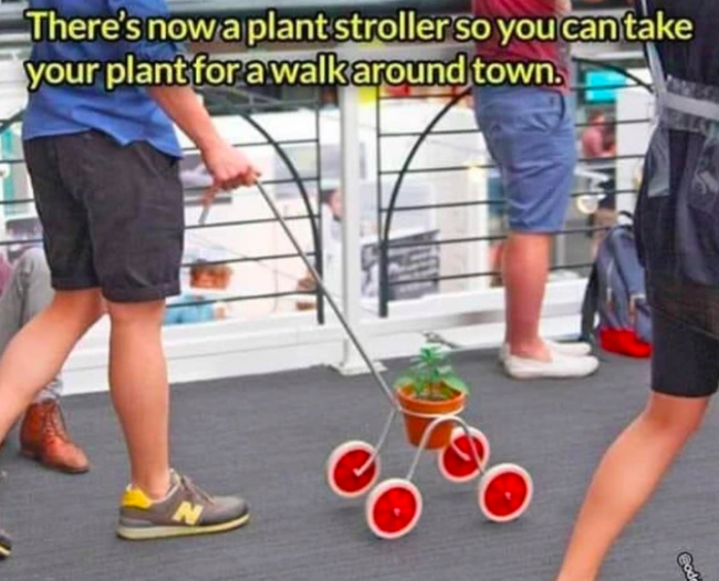 45 Funny Gardening Memes That Require Zero Watering For All You Green ...