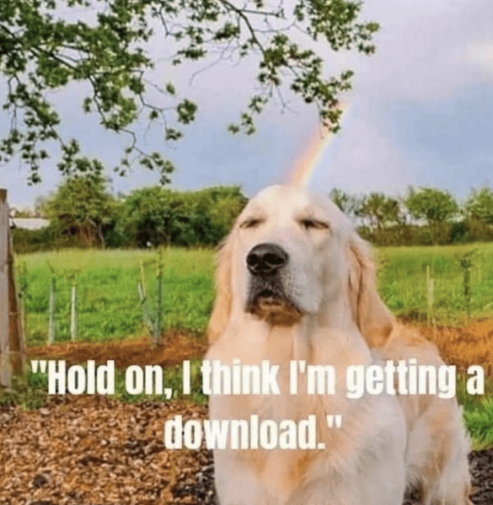 40 Enlightened Higher-Self Memes For Spiritual Women Waiting For Their ...