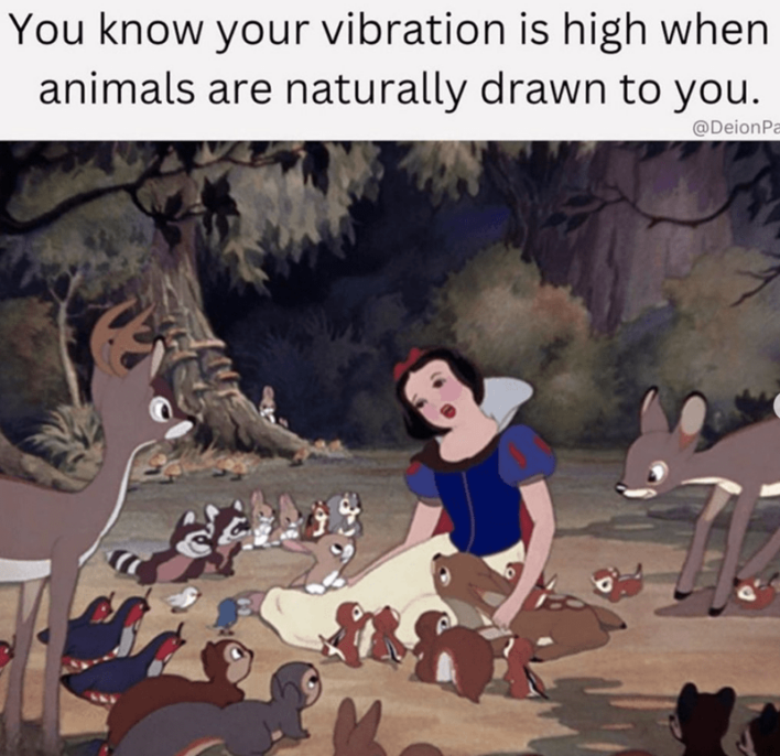 40 Enlightened Higher-Self Memes For Spiritual Women Waiting For Their ...