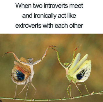 40 Funny Introvert Memes All You Lone Rangers Can Enjoy From The ...