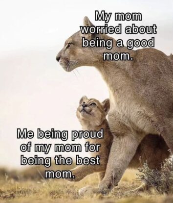 40 Funny Introvert Memes All You Lone Rangers Can Enjoy From The ...