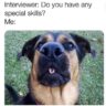 40 Funny Introvert Memes All You Lone Rangers Can Enjoy From The ...