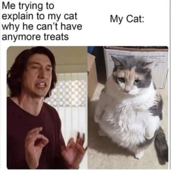 40 Funny Introvert Memes All You Lone Rangers Can Enjoy From The ...