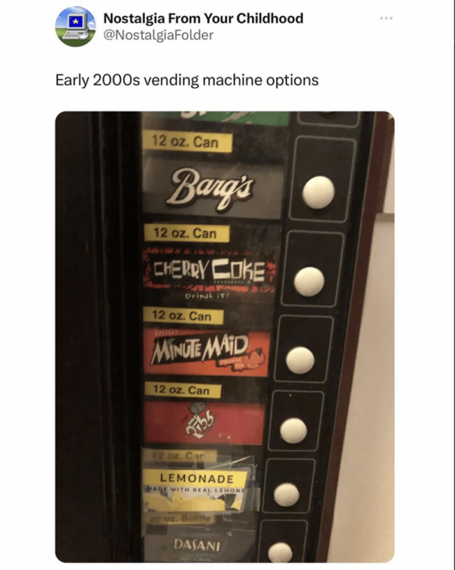 40 Nostalgia Memes More Comforting To Millennials Than A Friday Night ...