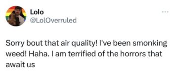 35 Best Memes And Tweets About The Unprecedented Wildfire Smoke ...