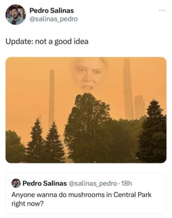 35 Best Memes And Tweets About The Unprecedented Wildfire Smoke ...