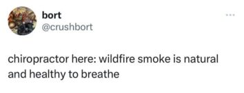 35 Best Memes And Tweets About The Unprecedented Wildfire Smoke ...