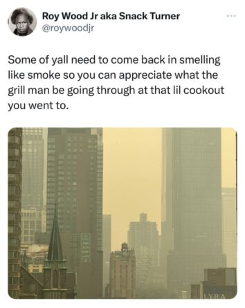 35 Best Memes And Tweets About The Unprecedented Wildfire Smoke ...