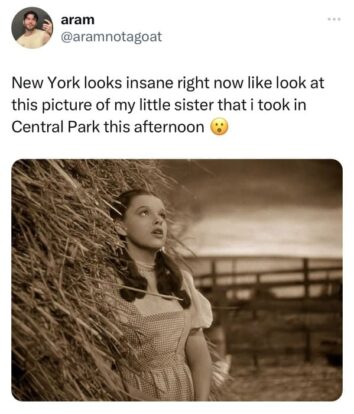 35 Best Memes And Tweets About The Unprecedented Wildfire Smoke ...