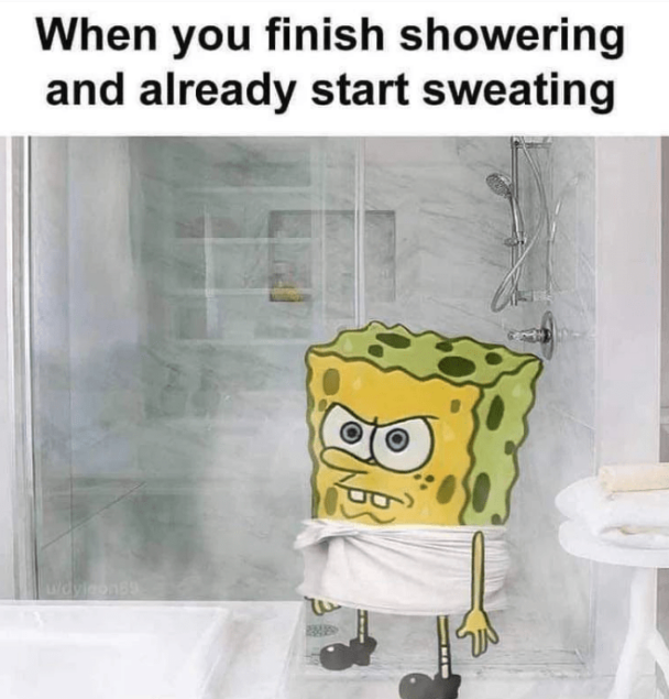 30+ Summer Memes Worthy Of Slapping On Some High SPF And Jumping In A Lake